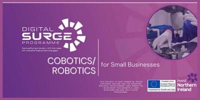 AND Business | Ards and North Down Borough Council's Economic ...